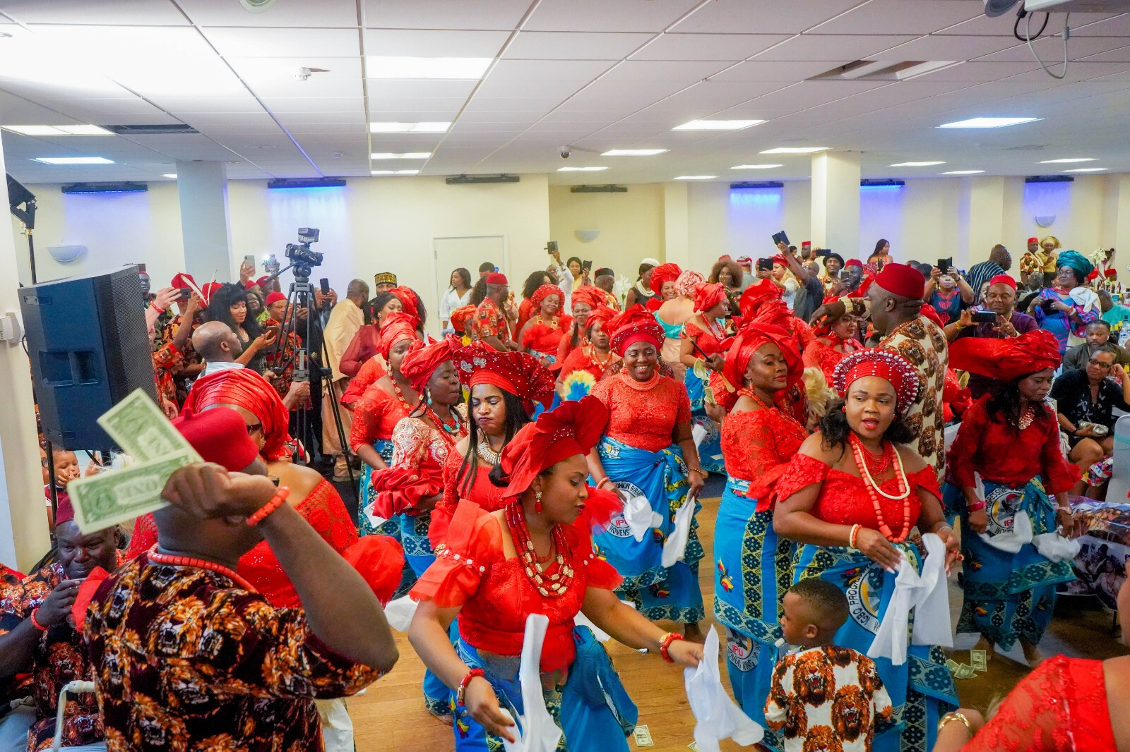 Igbo Progressive Union UK